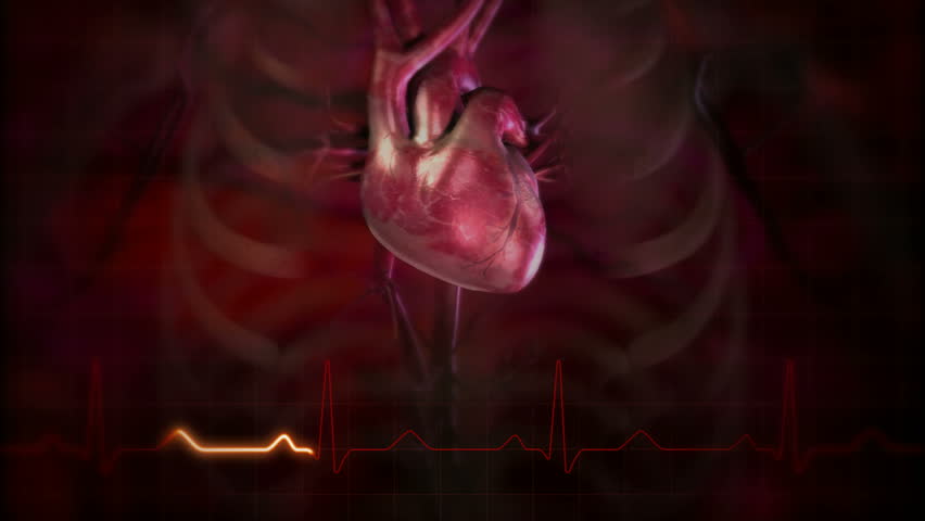 Heart Beating Slowly. Loopable Animation With The Heartbeat Sound ...