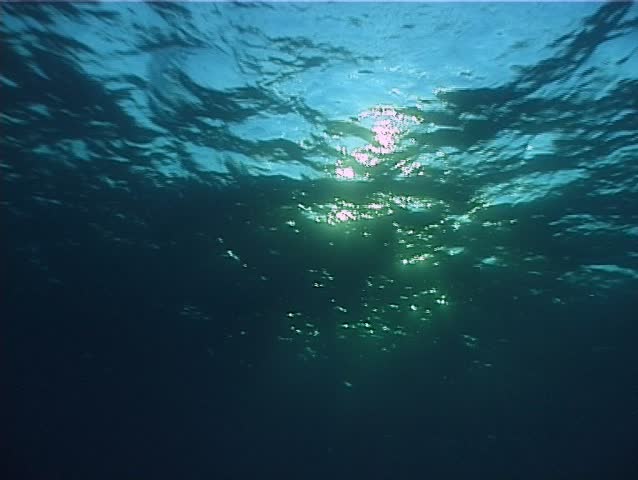 Beautiful Underwater Sea Scene View With Natural Light Rays, Shining ...
