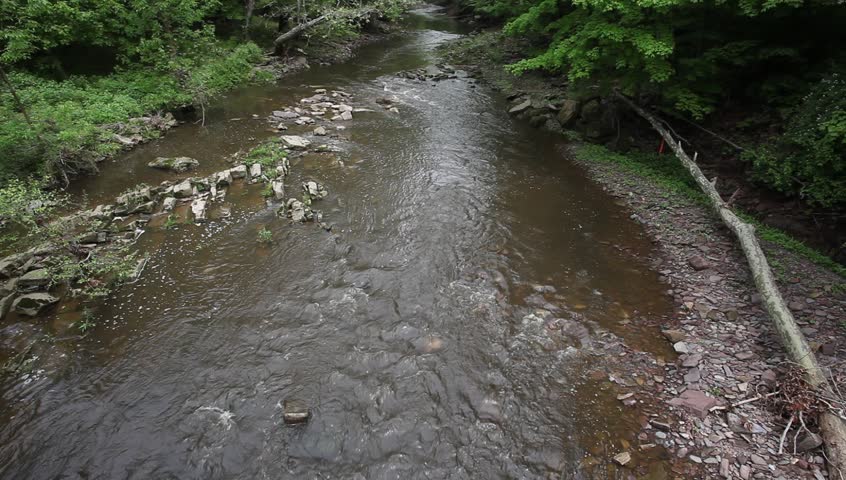 Dirty River Flows Stock Footage Video 4222180 - Shutterstock