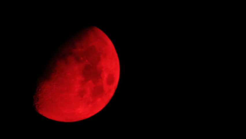 Single Red Blood Cell Rotating Randomly Seamless Loop Stock Footage ...