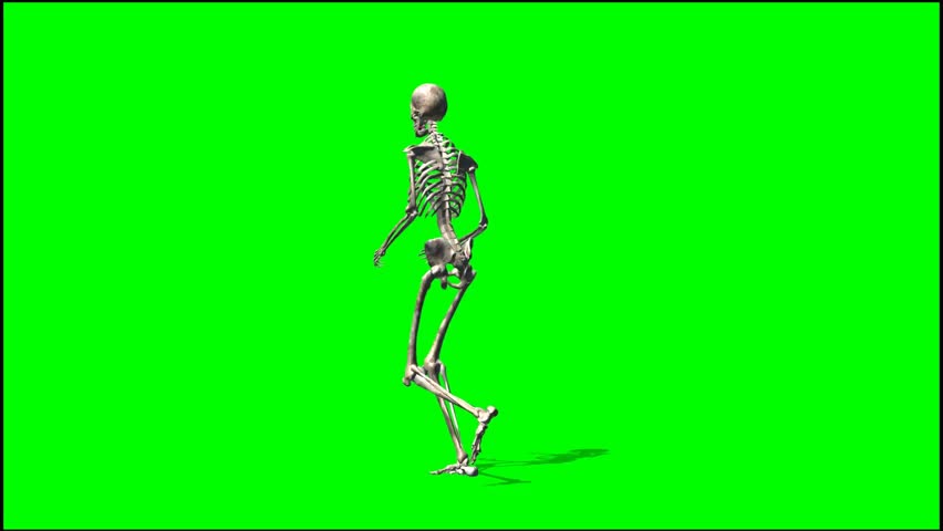 Skeleton - Various Poses - Green Screen Stock Footage Video 5586962 ...