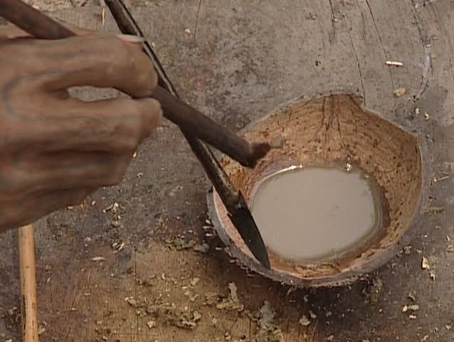 Mentawai Making Curare Poison Stock Footage Video 5706614 - Shutterstock